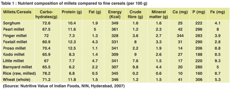 What Are Millets? Basic Info About Millets | Types | Benefits